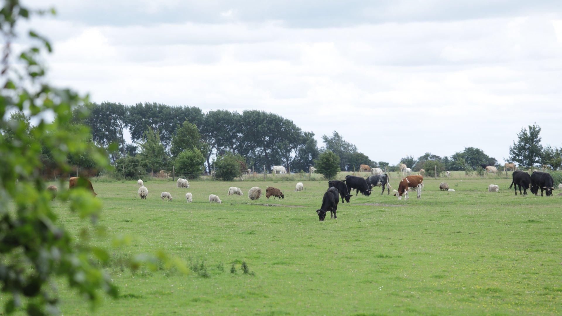 Das Unternehmen der Familie Schilling • Insel Oehe