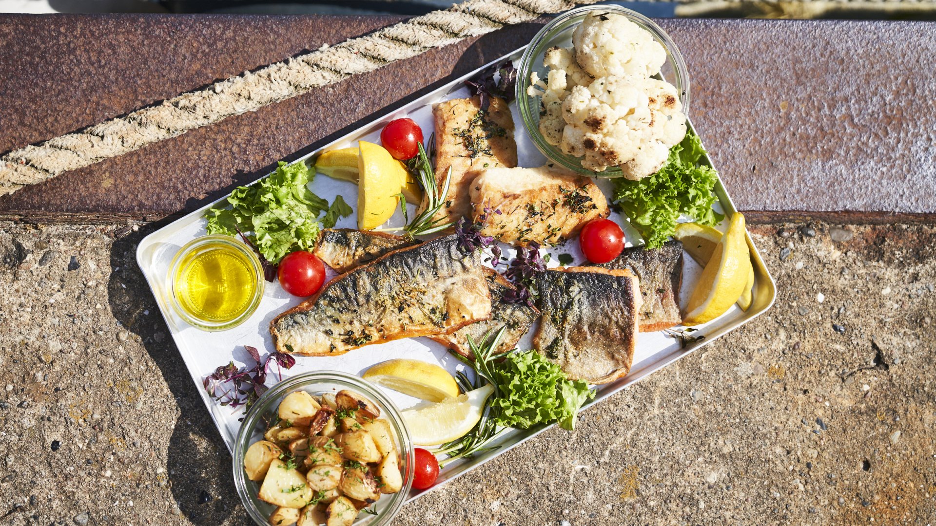 Hafenkater • Insel Oehe